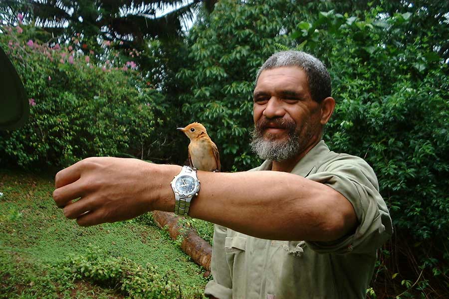 Cook Islands: an independent guide