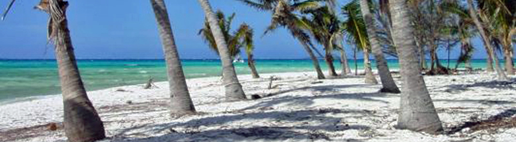 15 Cook Islands and 15 facts about them